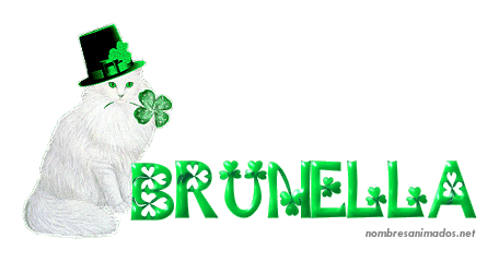 Gifs Animados del Nombre Brunella. Imágenes gifs. Firmas animadas